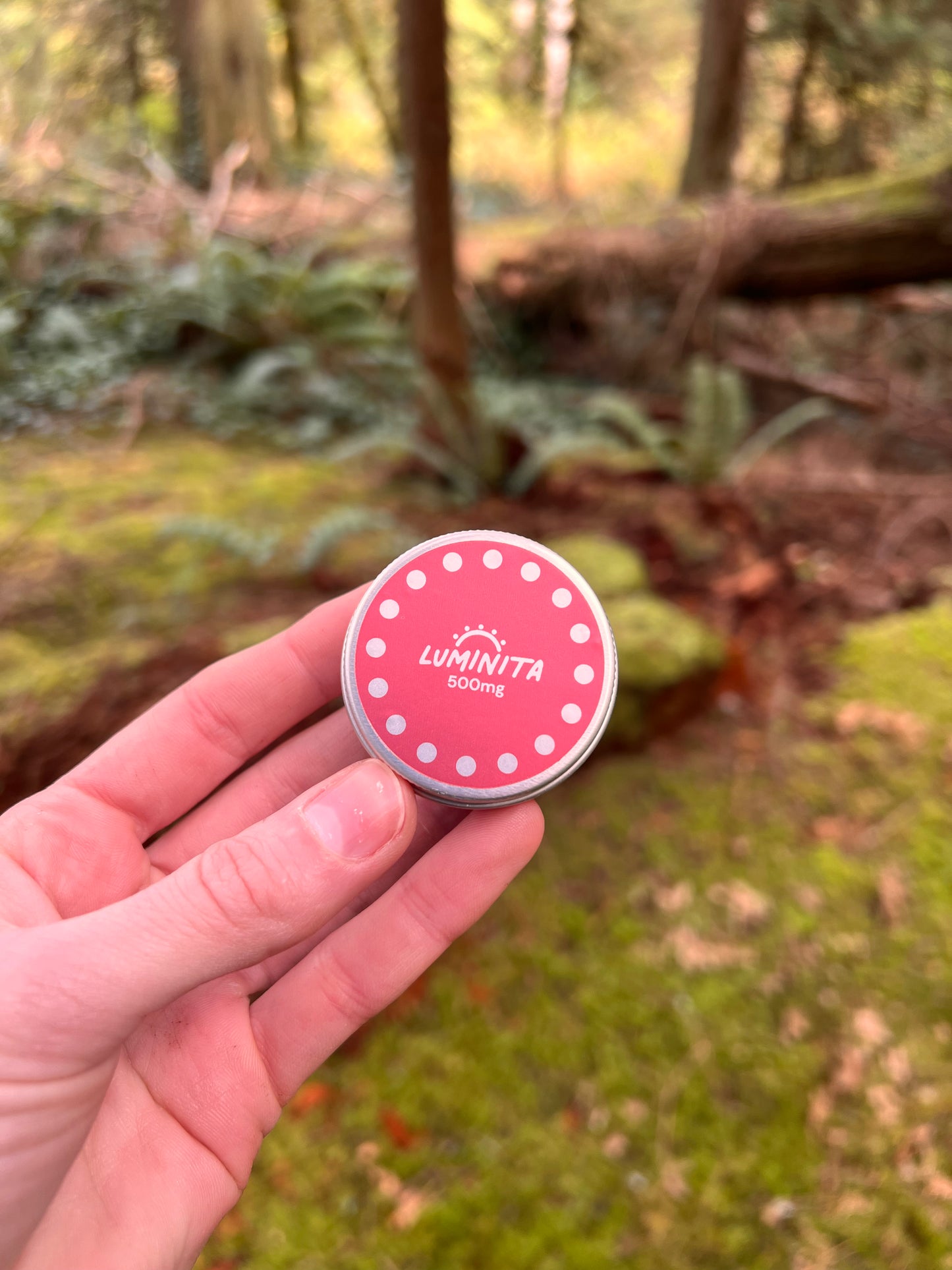 How to Microdose Amanita Muscaria – luminita